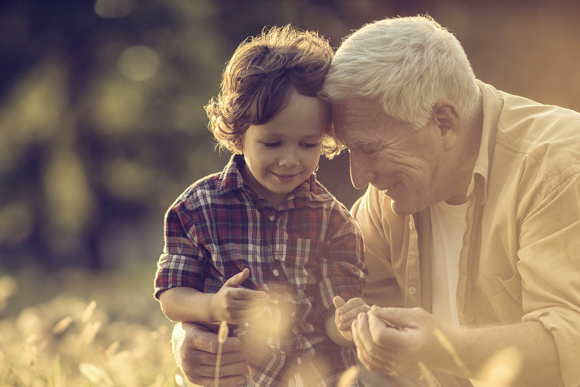 Later Life Planning & Financial Protection | Premier Financial Advice